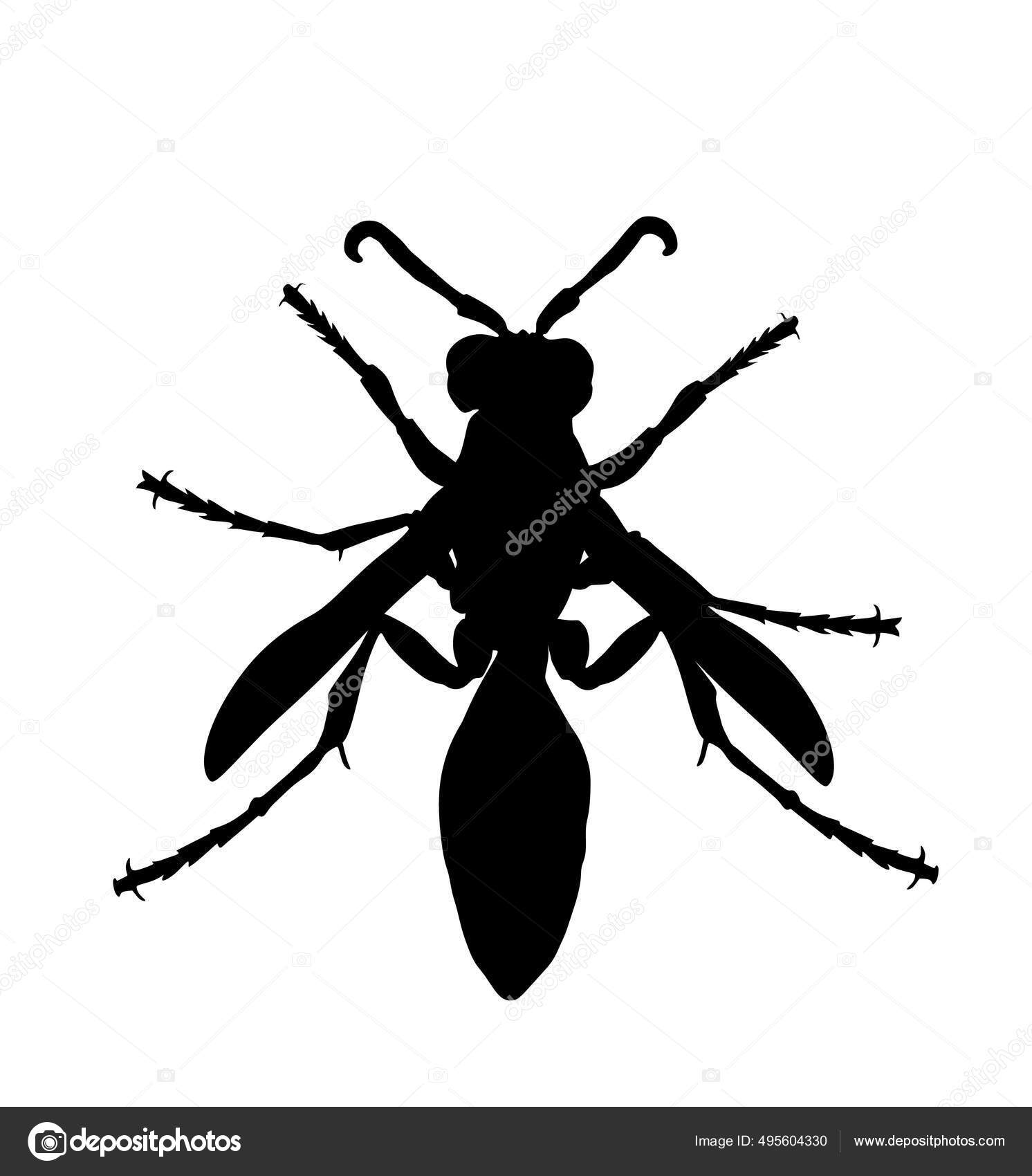 Wasp Vector Silhouette Illustration Isolated White Background Honey Bee ...