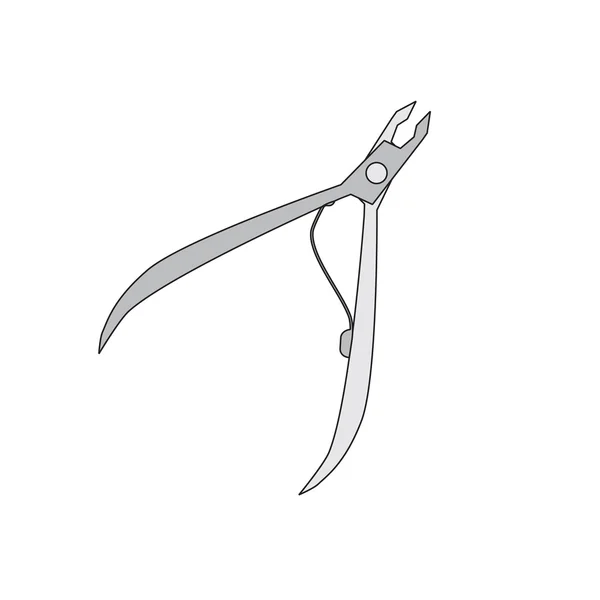 Cuticle Stock Vectors, Royalty Free Cuticle Illustrations | Depositphotos®