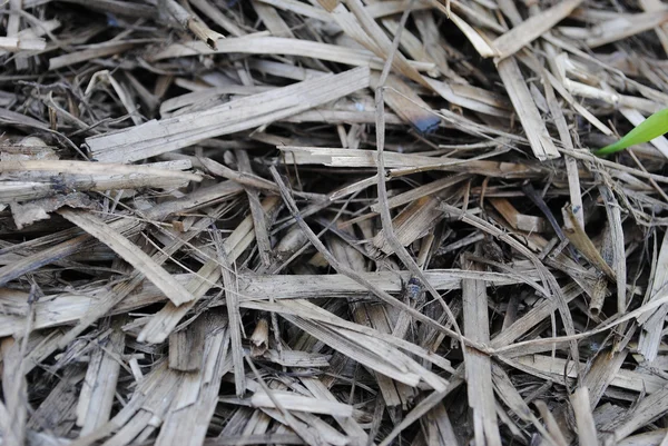 Straw, dry straw texture background Stock Photo by ©Roussanov 252184078