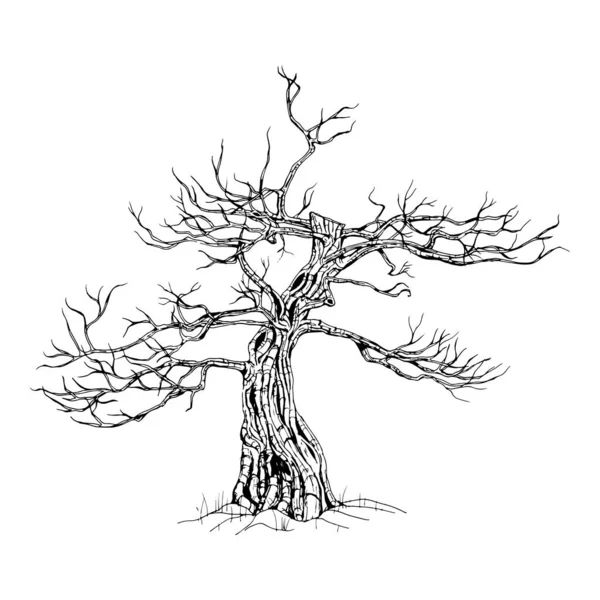 4,090 Tree etching Vector Images | Depositphotos