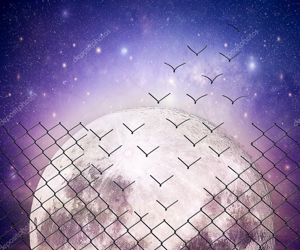Astral birds escape ⬇ Stock Photo, Image by © psychoshadow #121217910