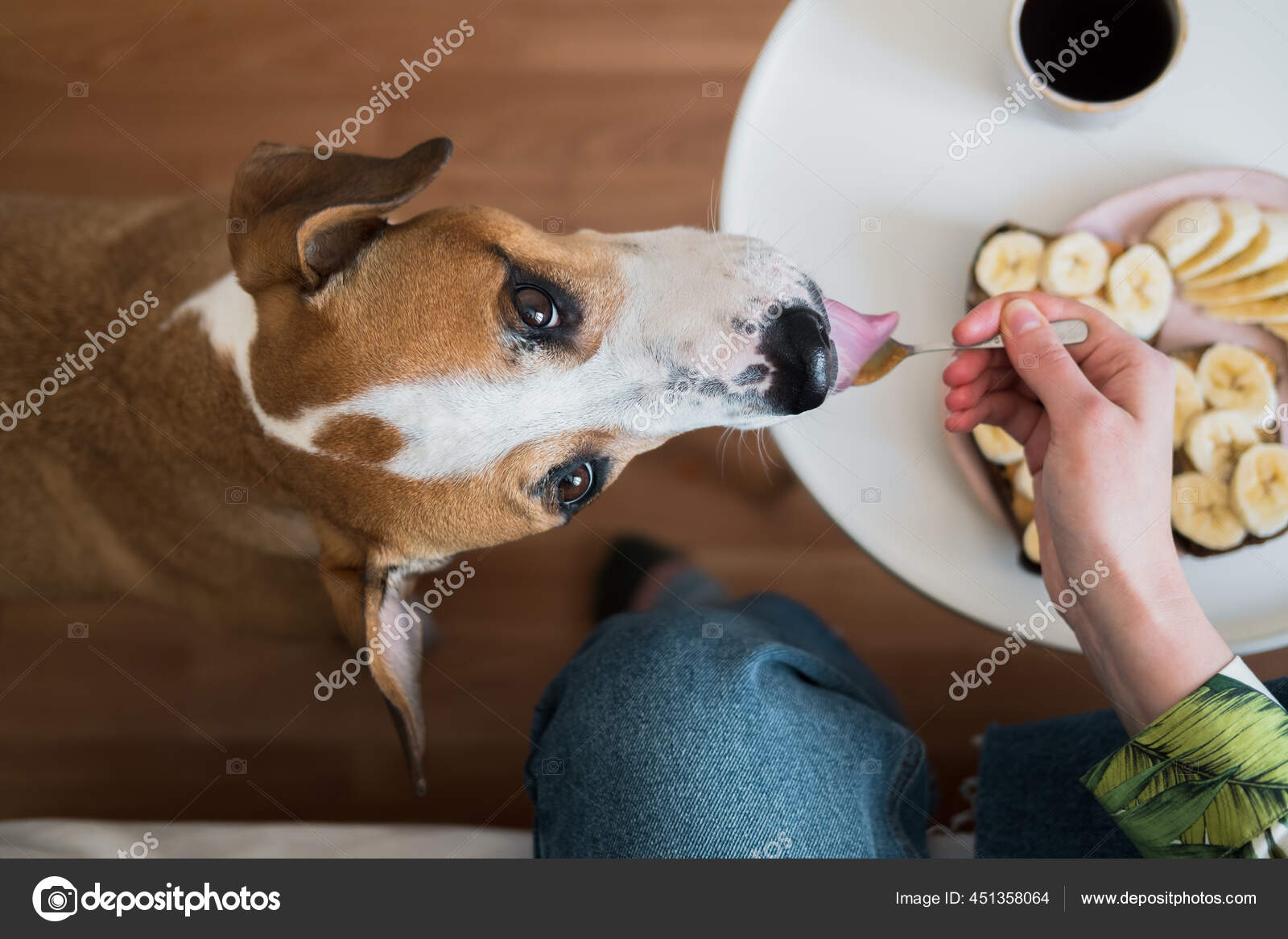 Are Dogs Able To Eat Bread