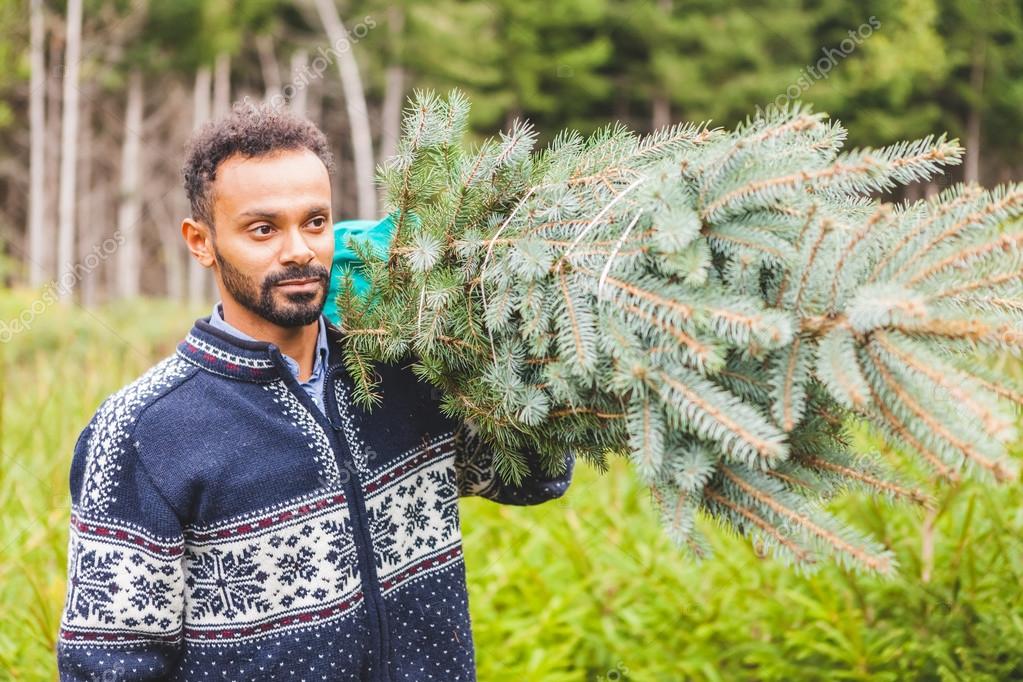 Man Bringing Home a Christmas Tree — Stock Photo © GiorgioMagini #122520188