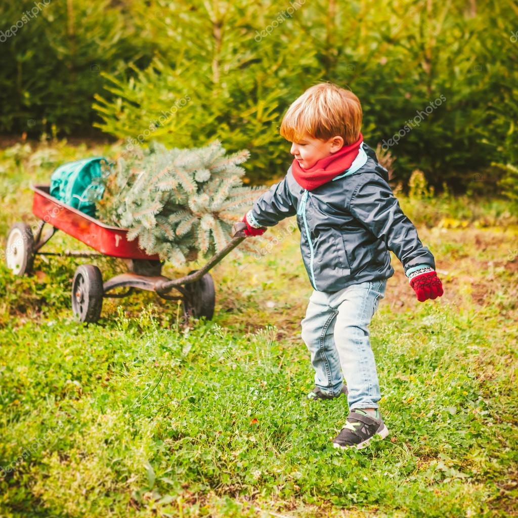 Child Pulling Cart with Fir Tree Stock Photo by ©GiorgioMagini 122928076