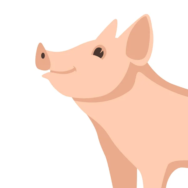 Cartoon Pig Side View