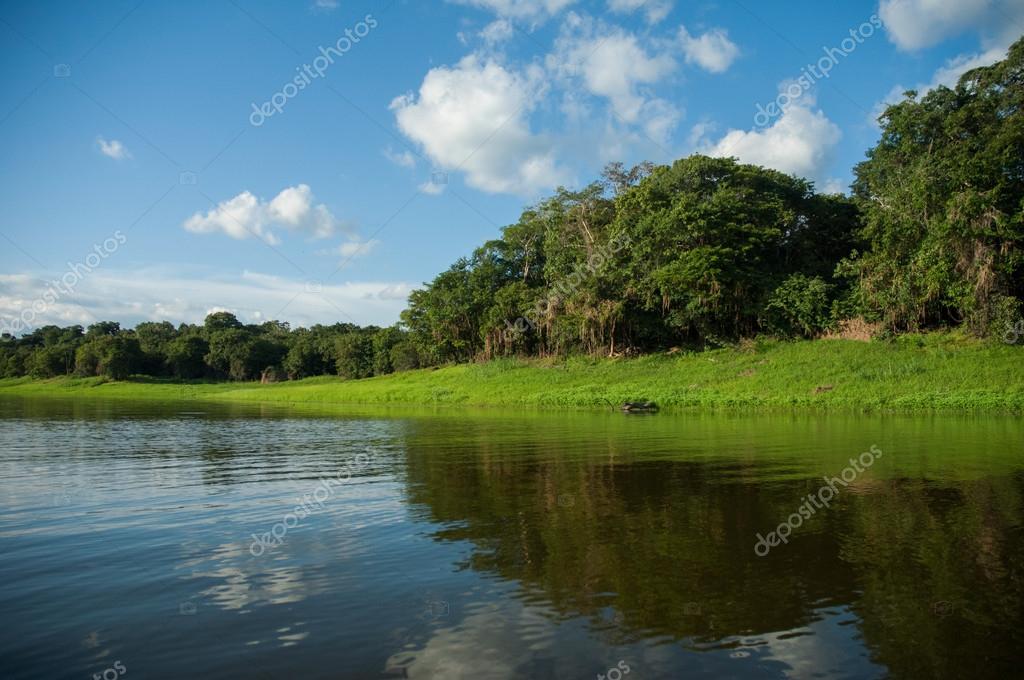 Amazon river, Brazil — Stock Photo © vitormarigo #123354150