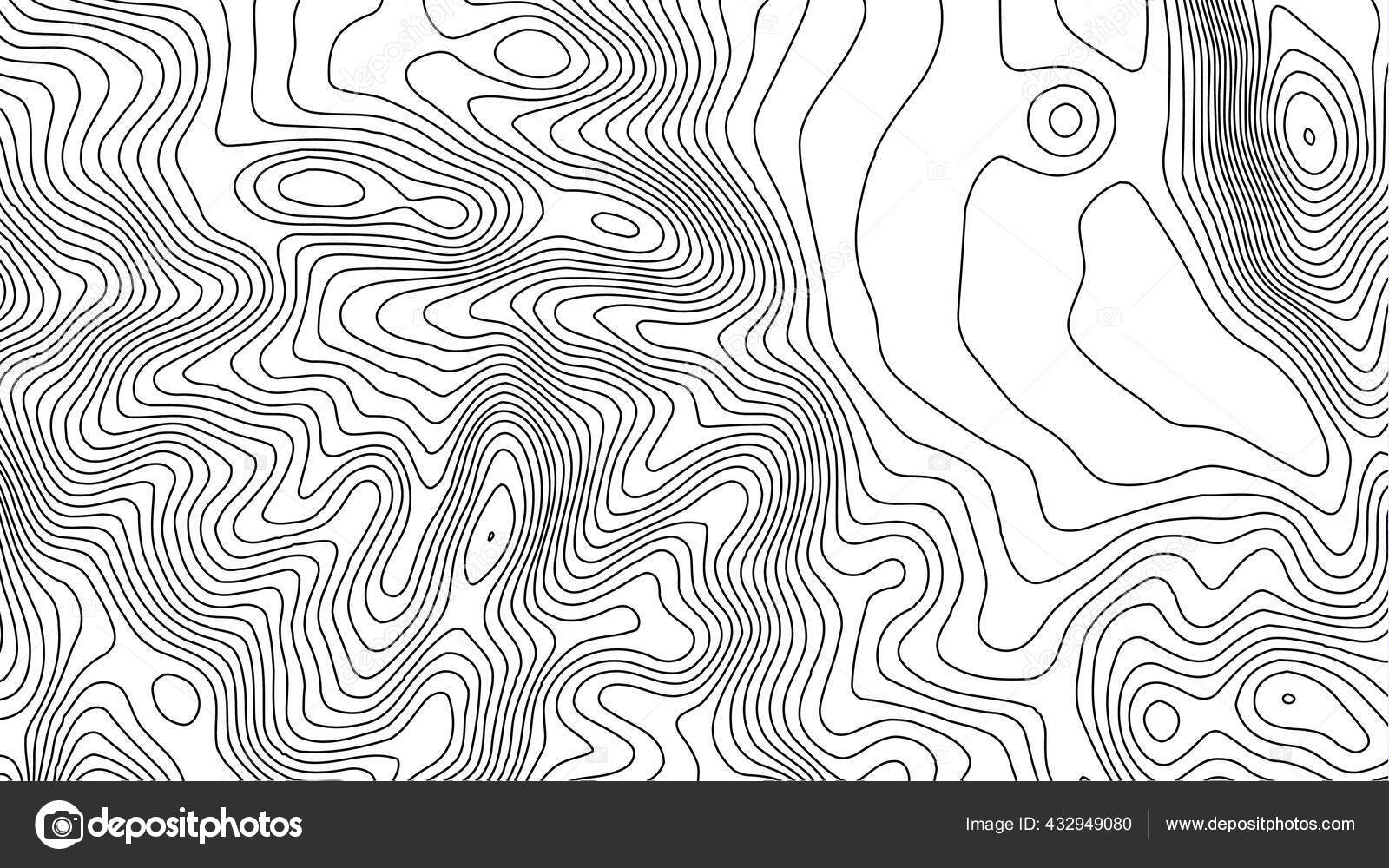 Grey contours vector topography. Geographic mountain topography vector ...