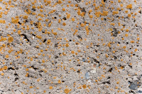 Cemento coloreado fotos de stock, imágenes de Cemento coloreado sin ...