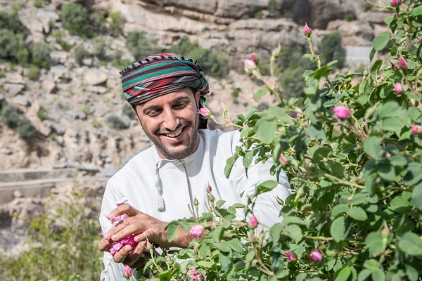 Omani man picking a rose – Stock Editorial Photo © katiekk #124038744