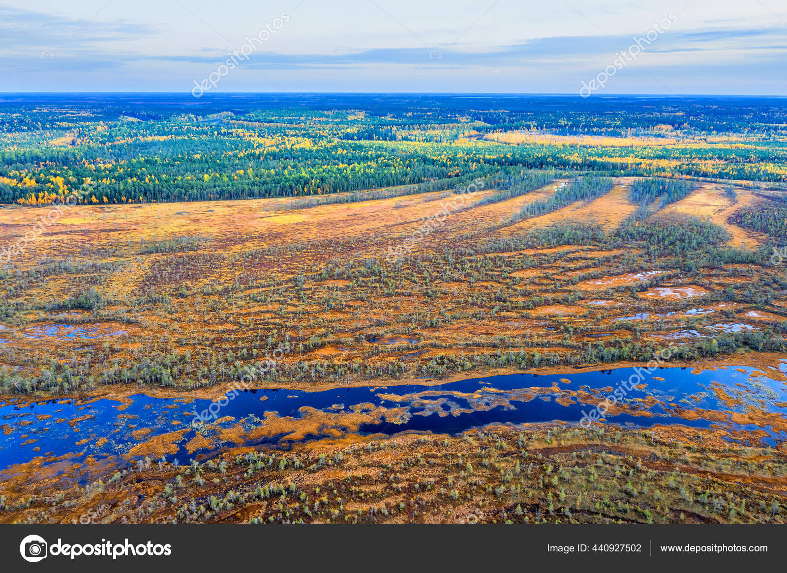 West Siberian Plain In Russia