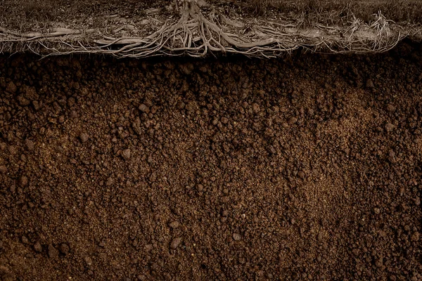 Underground Soil texture Stock Photo by ©anatskwong 124502112