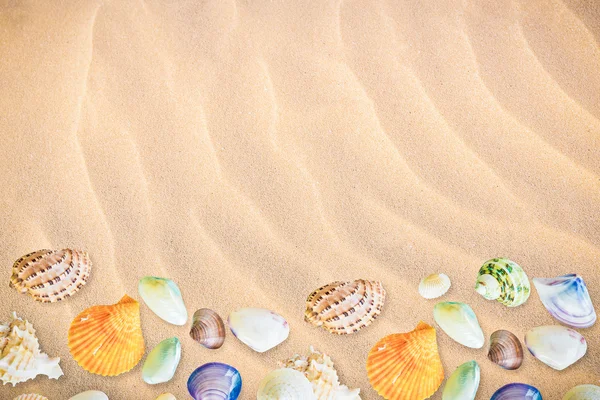 Sea shell on sand — Stock Photo © Irochka #5921693