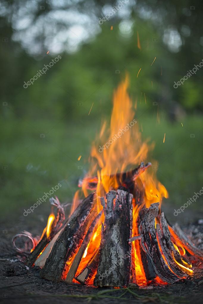 Bonfire in the summer forest under the light of sunset Stock Photo by ...