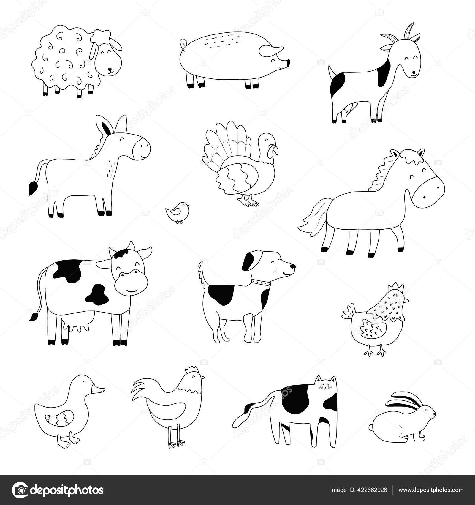 Cartoon Zoo Animals Black And White