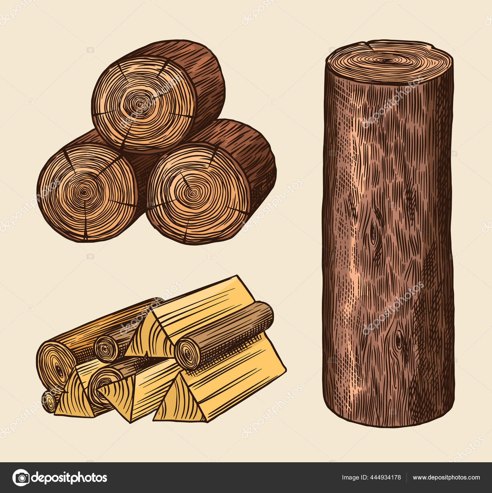 Wood Log Drawing