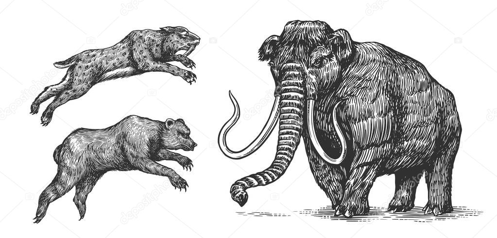 Mamut o elefante extinto, oso de cueva y tigre dientes de sable ...