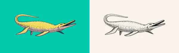 Stara szkoła tatuaże. Pantera, serce i oko. Grawerowany ręcznie szkic ...