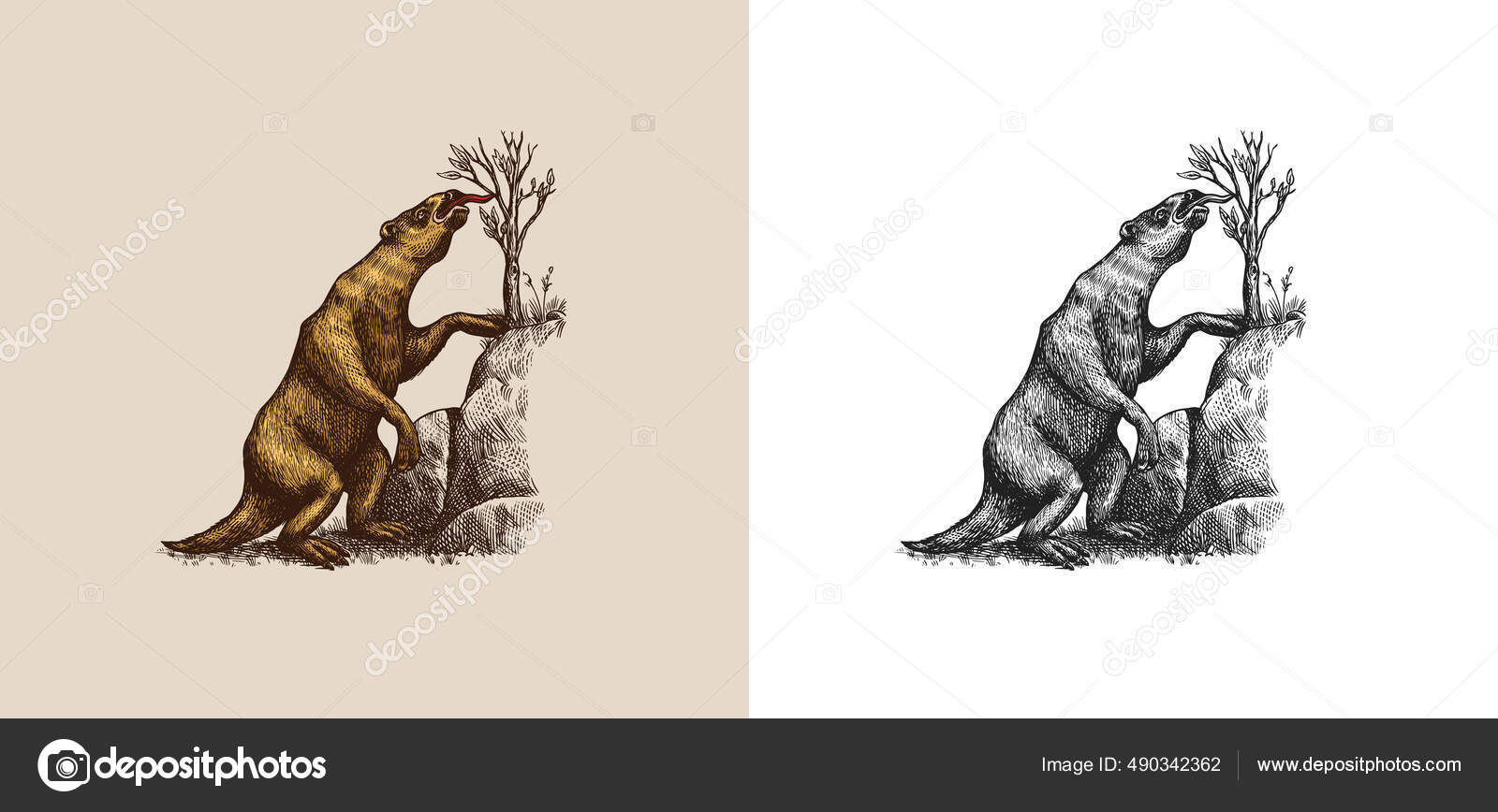 Ground sloth or Megatheriidae. Prehistoric mammals. Extinct animal ...