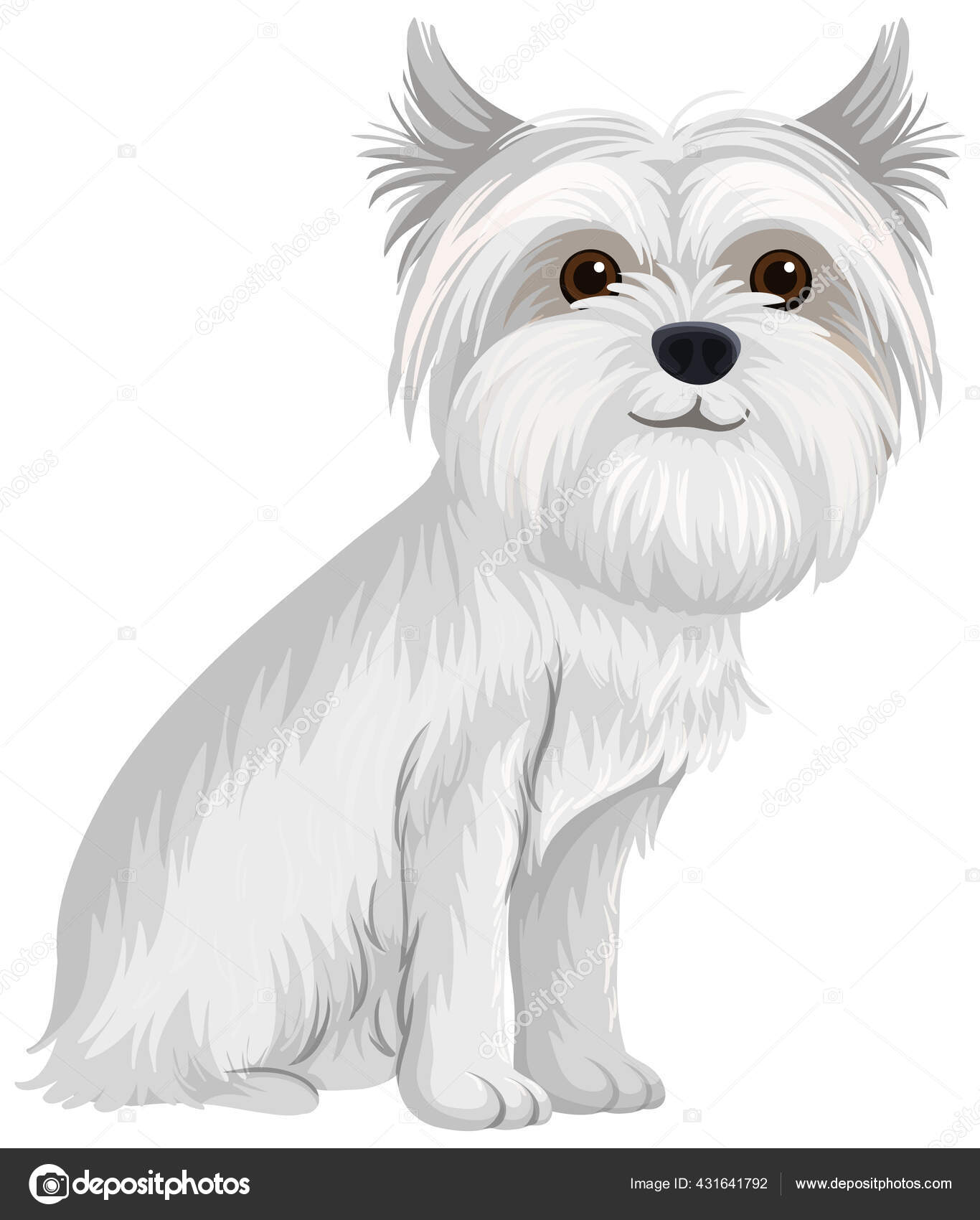 Maltese Cartoon Style White Background Illustration Stock Vector by ...
