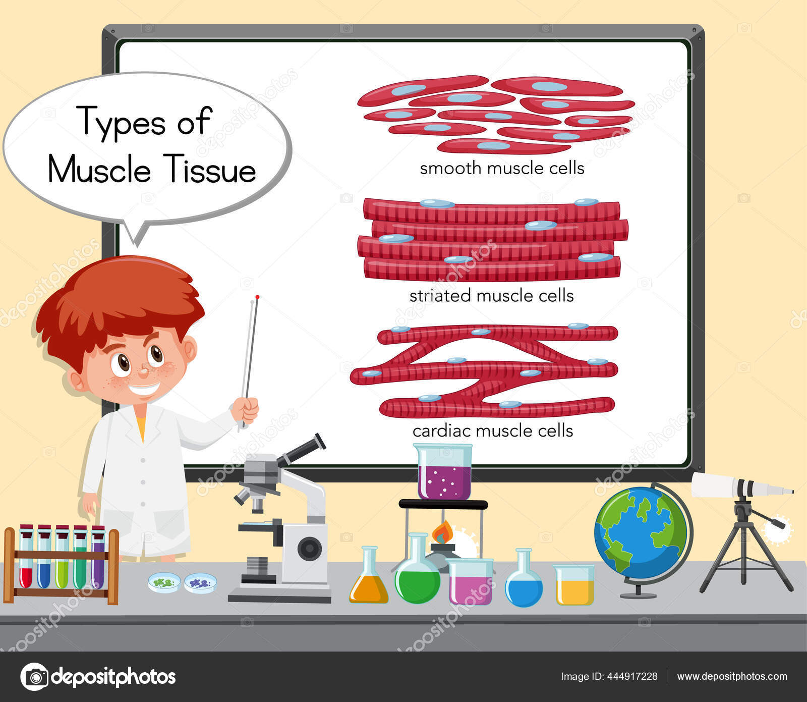 Young Scientist Explaining Types Muscle Tissue Front Board Laboratory ...