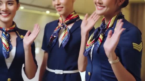 1,960 Cabin crew Videos, Royalty-free Stock Cabin crew Footage ...